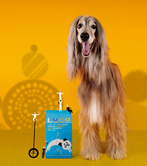 Organic Dog Treats: Crunchy Beef Nummers | Luca & The 5 Girls – Luca ...